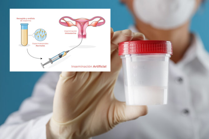 Inseminación Artificial en Pamplona (Navarra) | OnaFIV