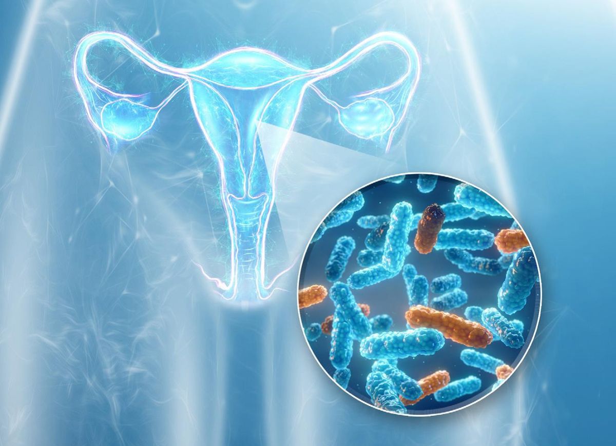 Microbiota Endometrial en Pamplona | Test y Tratamiento – OnaFIV